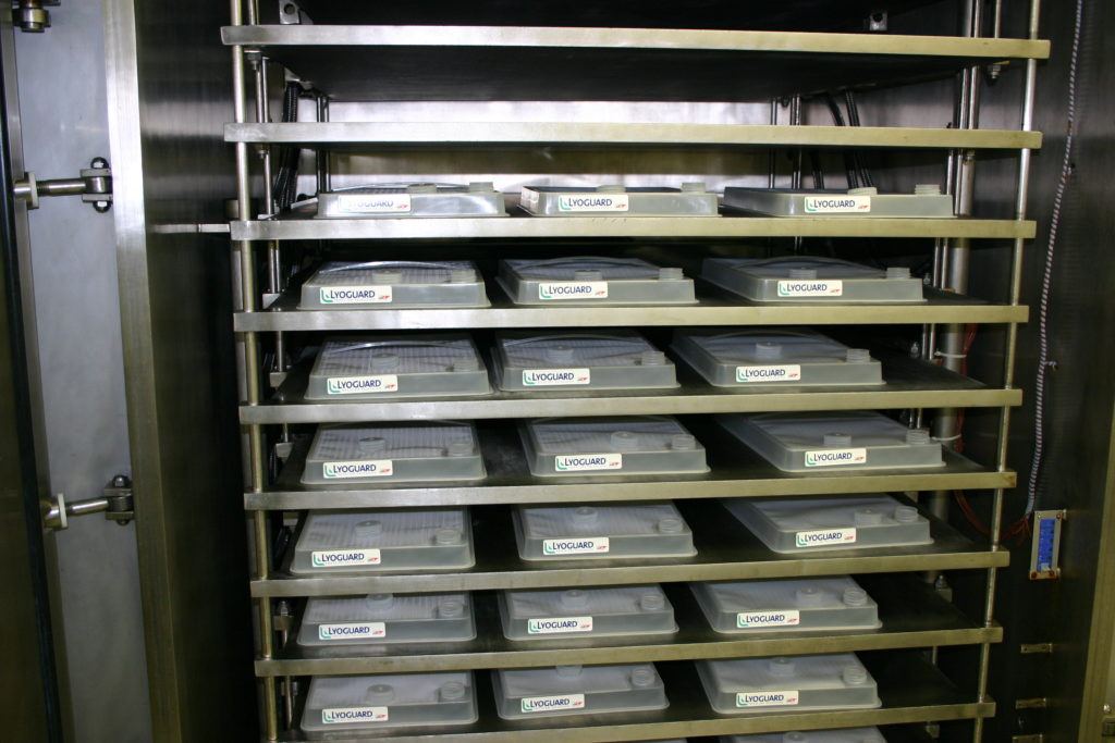 Bulk Lyophilization Services | LSNE